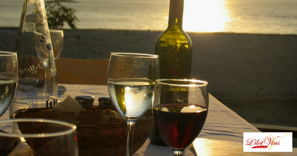 Quel vin boire avec du Saint-nectaire? | Cave L’îlot Vins Martinique